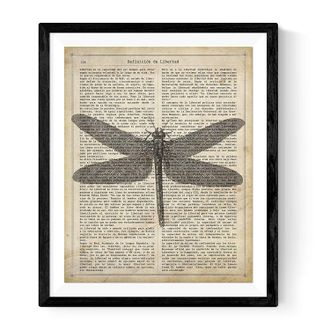 Nacnic Vintage Libelle Poster mit Enzyklopädie Hintergrund. Wanddekoration im Sepiatöne und Retro-Stil. A4 ohne Rahmen