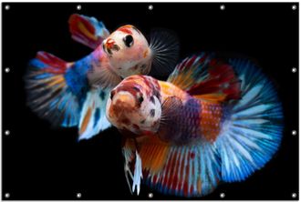 Wallario Outdoor-Poster f&uuml;r Garten oder Balkon Tanz unter Wasser, Motivbanner Gr&ouml;&szlig;e: ca. 120 x 180 cm, Outdoor-Bild