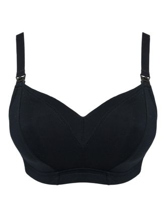 SugarShape Still-BH Cozymama