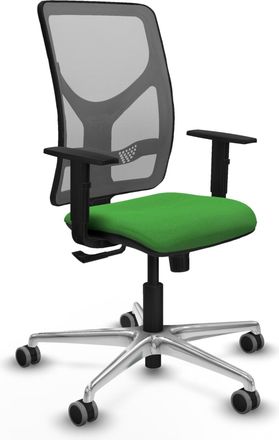 Piqueras y Crespo Stuhl mit Lendenverstellung, mit 1D-Armlehnen, ausgestattet mit 3 Positionen und Schneideschaum, mit Rollen 65 mm, Parkett, Grau/Gr&uuml;n