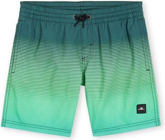 O'Neill Kinder Badehose JACK CALI GRADIENT 14 SWIM SHORTS