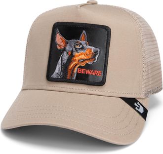 Goorin Brothers Goorin Cappello Doberman Beige Beige/TU