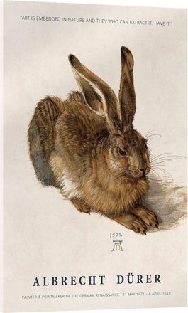 Posterlounge Art is Embedded in Nature Acrylglasbild von Albrecht D&uuml;rer 20 x 30 cm Beige Wandbilder Wanddeko