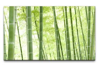 Paul Sinus Art Bilder XXL Bambus Wald 120x70cm Wandbild auf Leinwand