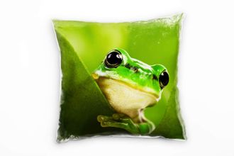 Paul Sinus Art Tiere, Macro, gr&uuml;n, hinter Bl&auml;ttern versteckter Frosch Deko Kissen 40x40cm f&uuml;r Couch Sofa Lounge Zierkissen - Dekoration zum Wohlf&uuml;hlen