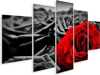 Islandburner Bild auf Leinwand Rote Rose im Schwarz Weiß Blumenhintergrund Bilder Wandbilder Poster