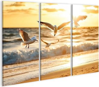 Islandburner Bild auf Leinwand Möwen Am Strand Bei Sonnenuntergang Bilder Wandbilder Poster