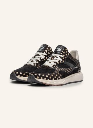 Floris Van Bommel Floris Van Bommel Sneaker Suvi 05 schwarz