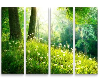 Paul Sinus Art Leinwandbilder | Bilder Leinwand 130x90cm 4 Teile Pusteblumen im Wald