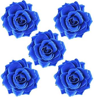 Dreshow 5 Pi&egrave;ces Fleur Broche T&ecirc;te Ornement Mari&eacute;e Femmes Rose Fleur Accessoires De Cheveux Pince &Agrave; Cheveux De Mariage Danseuse De Flamenco