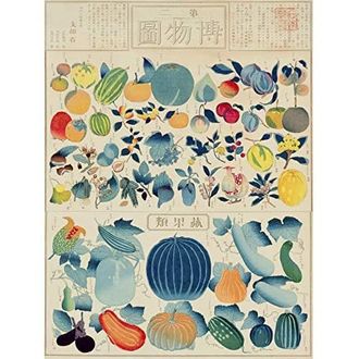 Artery8 Kato Chikusai Species of Fruit Vegetables Japanese Unframed Wall Art Print Poster Home Decor Premium Obst japanisch Wand Zuhause Deko