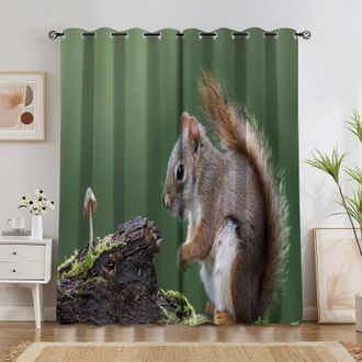 Generic Verdunkelungsvorhang Nat&uuml;Rlicher Rustikaler Charme Thermovorhang K&auml;lteschutz Eichh&ouml;Rnchen Blickdicht &Ouml;senschal f&uuml;r Gardinen Wohnzimmer & Schlafzimmer 