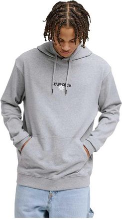 DC Vantura - Sweat &agrave; capuche - Gris chin&eacute; clair