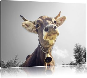 Pixxprint Lustiges Portrait Einer Kuh B&W Detail, Größe: 100x70cm, Leinwandbild, fertig gespannt, Wandbild, Dekoration, Kunstdruck, kein Poster