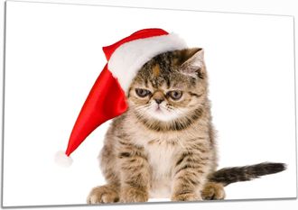 Wallario Herdabdeckplatte/Spritzschutz aus Glas, 1-teilig, 80x52cm, f&uuml;r Ceran- und Induktionsherde, Ich Hasse Weihnachten - m&uuml;rrische Katze mit Weihnachtsm&uuml;tze