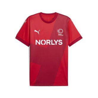 Puma Maillot de handball Home Danemark Homme, V&ecirc;tements, Rouge, XXL