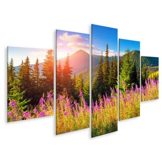 Islandburner Bild Bilder auf Leinwand Sch&ouml;ne Herbstlandschaft in den Bergen mit rosa Bl&uuml;ten. Wandbild, Poster, Leinwandbild QDS
