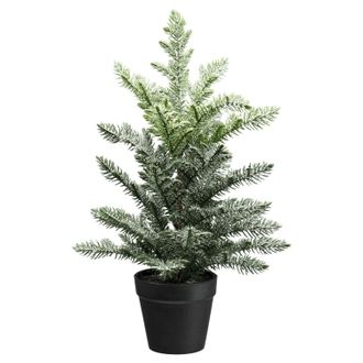 Creativ Green k&uuml;nstliche Araucaria 39cm in gr&uuml;n I Mini Weihnachtsbaum mit naturgetreuen Nadeln & Frost I Kleiner k&uuml;nstlicher Weihnachtsbaum im Topf I Kunst Baum ide