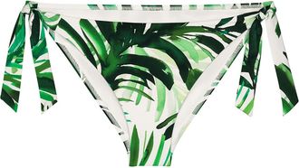 Triumph Tai-Bikinislip Red Label Summer Palm
