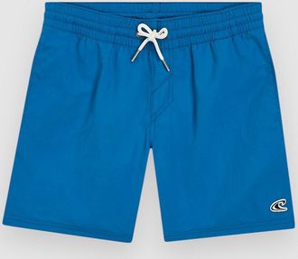O'Neill Vert 14 Kids Boardshort bleu