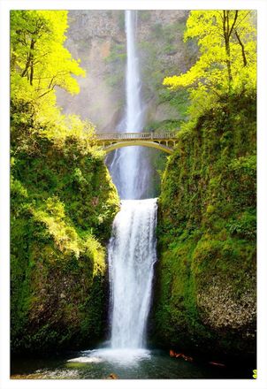 Wallario selbstklebendes Poster - Br&uuml;cke &uuml;ber dem Wasserfall, Aufkleber in Premiumqualit&auml;t, Klebefolie Gr&ouml;&szlig;e: 61 x 91,5 cm (Maxiposter)