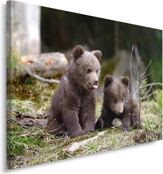 Feeby Wandbild - 1 Teilig - 30x40 cm, Leinwand Bild Leinwandbilder Bilder Wandbilder Kunstdruck, BÄREN, NATUR, BRAUN
