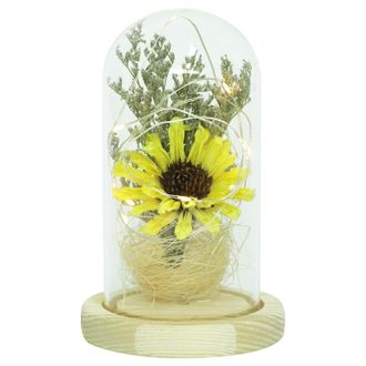 BESPORTBLE Sonnenblume im Glas mit LED Licht Luftgetrocknet Bruchfest Kompaktes Tisch Ornament f&uuml;r Wohndekor und Geschenk