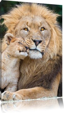 Pixxprint schöner Löwe mit Jungtier, Größe: 120x80cm, Leinwandbild, fertig gespannt, Wandbild, Dekoration, Kunstdruck, kein Poster