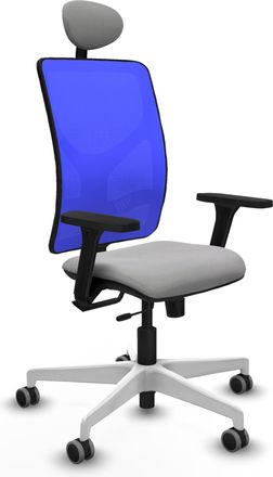 Piqueras y Crespo Schutzstuhl mit 3D-Armen, h&ouml;henverstellbarer Lendenwirbelst&uuml;tze und festem Kopfteil, ausgestattet mit Syncro/Traslack und Schneideschaum, Blau/Hellgra