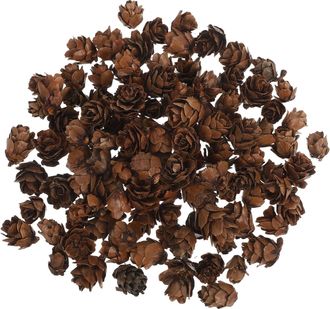 Angoily 100 St&uuml;ck Kleiner Tannenzapfen Holzdeko 1-2cm Weihnachts Ornamente Selbstgemacht Foto Requisite Festliche Heim Und Partydekoration