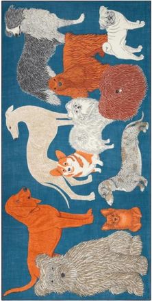 Inou&iuml; Editions unisex, Accessoires, Multicolore, Taille: ONE Size Tou Tou Sciarpa