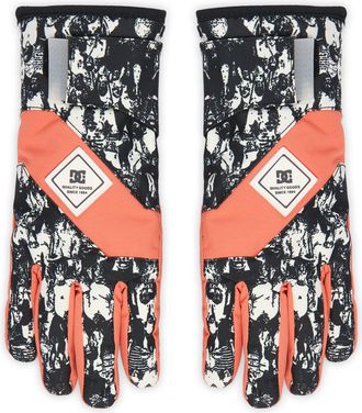 DC Skihandschuhe DC Shoes Franchise ADJHN03015 Bunt