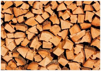 Wallario Poster - Holzstapel gehackt - Holzscheite für den Kamin in Premiumqualität, Größe: 70 x 100 cm (Riesenposter)