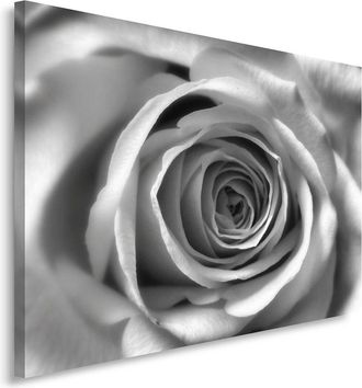Feeby Wandbild - 1 Teilig - 80x120 cm, Leinwand Bild Leinwandbilder Bilder Wandbilder Kunstdruck, ROSE, NATUR, SCHWARZ-WEIß
