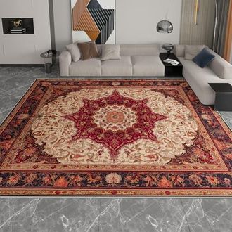 Generic Tapis de Salon Lavable en Machine 120 x 170 cm, Tapis &agrave; Faible Poil Antid&eacute;rapant avec Imprim&eacute; Vintage Traditionnel Artistique G&eacute;om&eacute;trique - pour la Ch