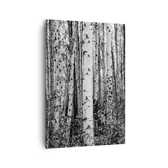 Arttor Bilder auf Leinwand 70x100cm Leinwandbild mit Rahmen Birken Wald Monochrom Gro&szlig; Wanddeko Bild Schlafzimmer K&uuml;che Deko Wandbilder Dekoration Wohnzimmer
