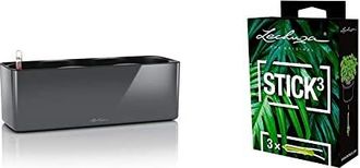 Lechuza Cube Glossy Triple, Anthrazit, Lackierte Oberfläche, Hochwertiger Kunststoff, Stick-Bewässerungssystem, Für Innenbereich, 13671 & 3er Set Bewässerungs