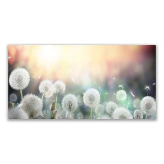 Tulup Leinwandbild 120x60cm - Wandbilder Druck Leinwandbild Canvas Kunstdruck Leinwanddruck - Pusteblume Pflanzen