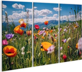 Islandburner Prime Bild auf Leinwand Bunte Blumenwiese vor Berglandschaft im Sommerhimmel Bilder Wandbilder Poster