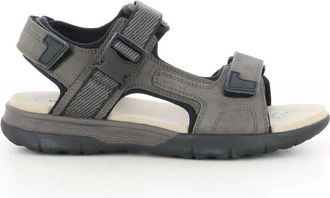 Geox Homme, Chaussures, Brun, Taille: 39 EU U55Elb