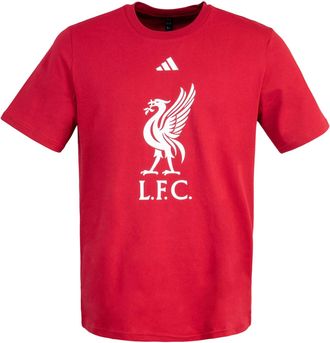 adidas FC Liverpool LFC DNA T-Shirt (DE/NL/SE/PL, Alphanumerisch, 3XL, Regular, Regular, red)