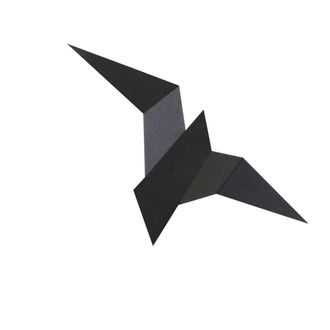 NUOBESTY Wandleuchte Vogel Wandlampe Flur Schlafzimmer LED Stück Material Einbrennlackierung Dekorative Nachttischlampe Wohnzimmer Up und Downlights Eisen