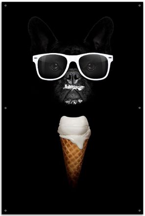 Wallario Outdoor-Poster f&uuml;r Garten oder Balkon Hund mit EIS, Motivbanner Gr&ouml;&szlig;e: ca. 60 x 90 cm, Outdoor-Bild