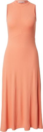 Edited Kleid Talia