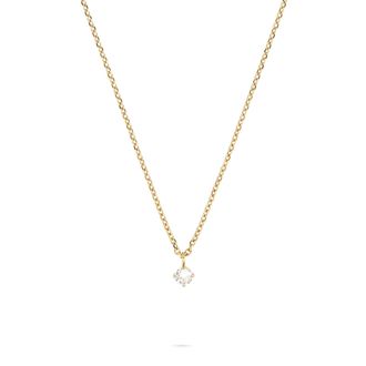 Tamaris Necklace - Halsketten mit funkelndem Anh&auml;nger aus Edelstahl - IP Gold - Ankerkette verstellbar bis 43 cm - wasserfest & hautfreundlich