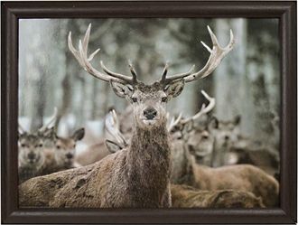 Mars & More [W] Knietablett Winter Hirsch 43cm