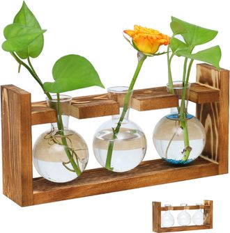 Generic Pflanzenverbreitungsstationen Pflanzen Terrarium Glaspflanzer mit Holzstand f&uuml;r Hydroponische Pflanzen B&uuml;ro Hausdekoration, Blument&ouml;pfe