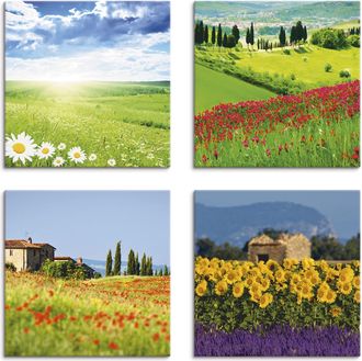 Artland Wanddeko Leinwand Bilder Set 4tlg. je 30x30 cm Quadratisch Wandbilder Landschaft Blumen Felder Grün Natur Gänseblume Mohn Lavendel J6XG