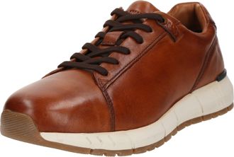 Salamander Sneaker