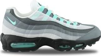 Nike Nike Air Max 95 Gris Fv4710-100